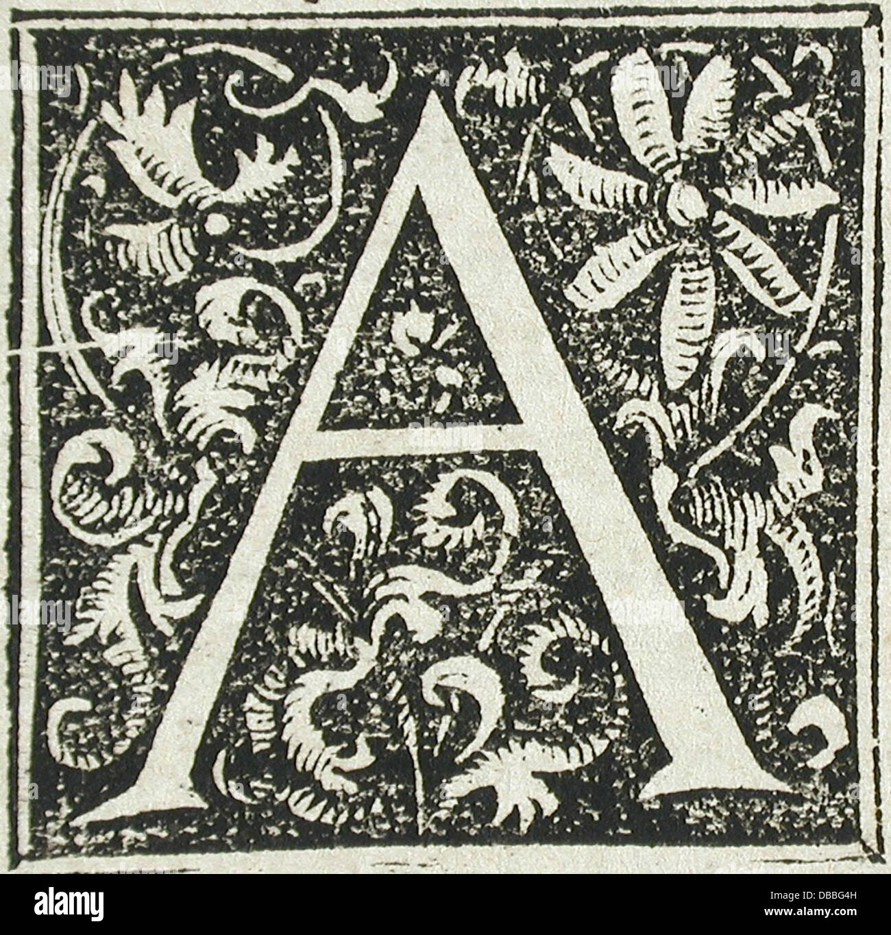 This collection includes 20 ornamental letters from different scripts ...