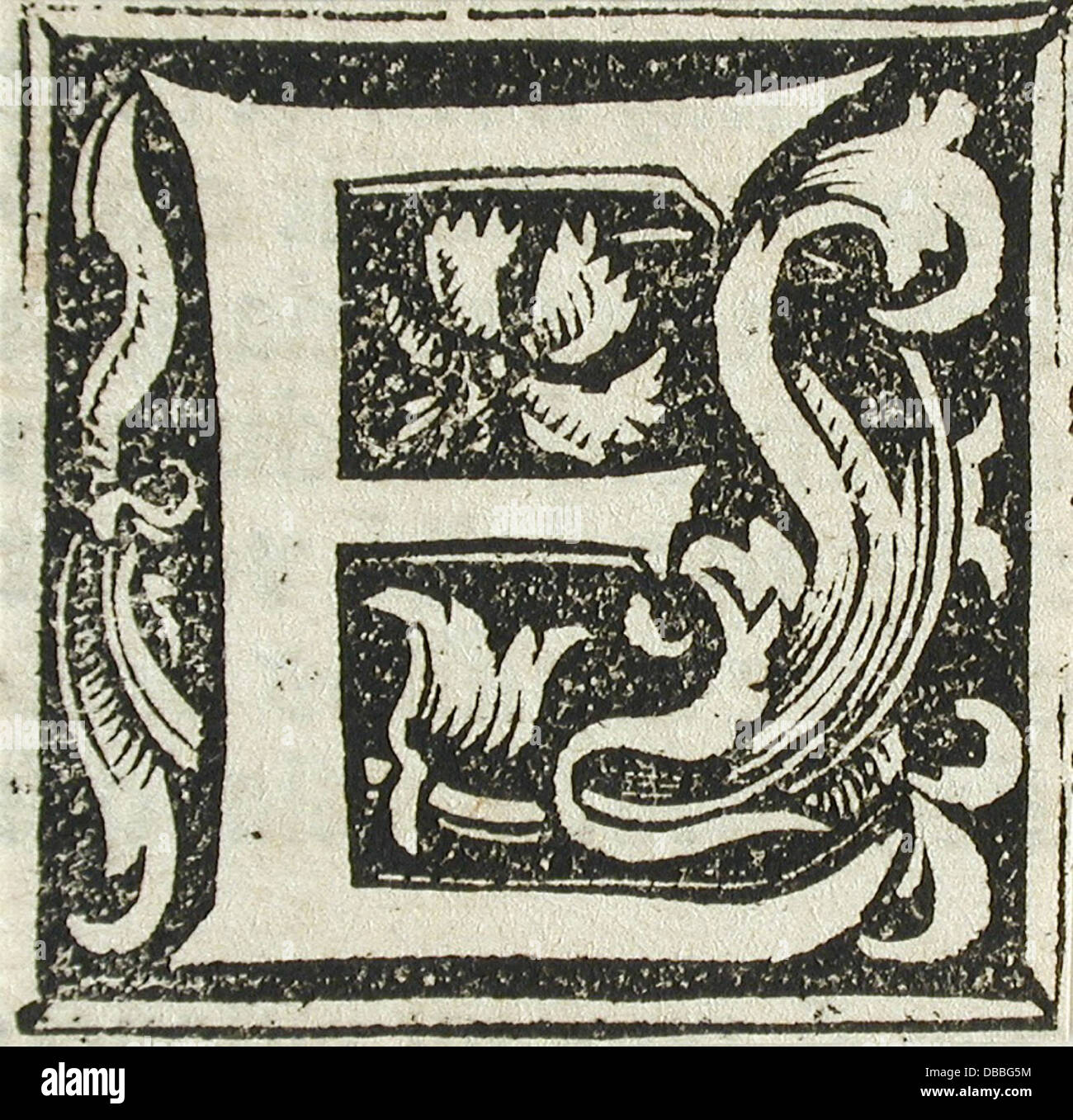 A set of twenty ornamental letters, each designed with intricate ...