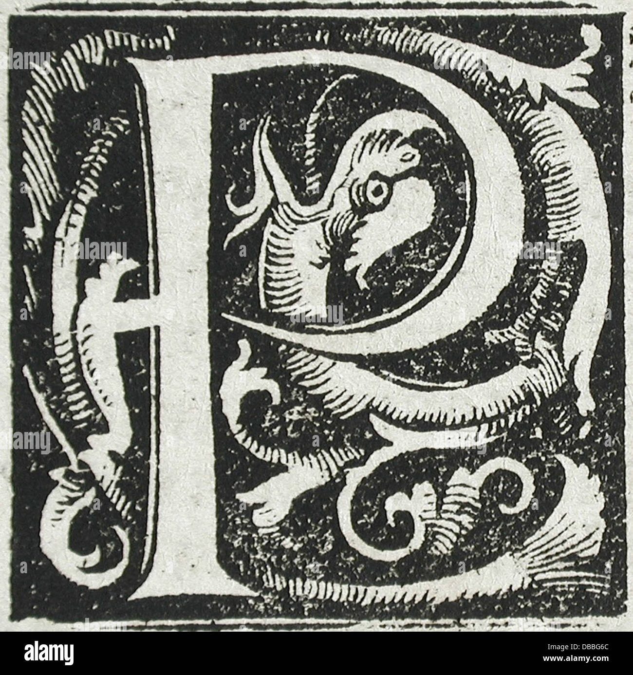 This collection of ornamental letters showcases the decorative nature ...