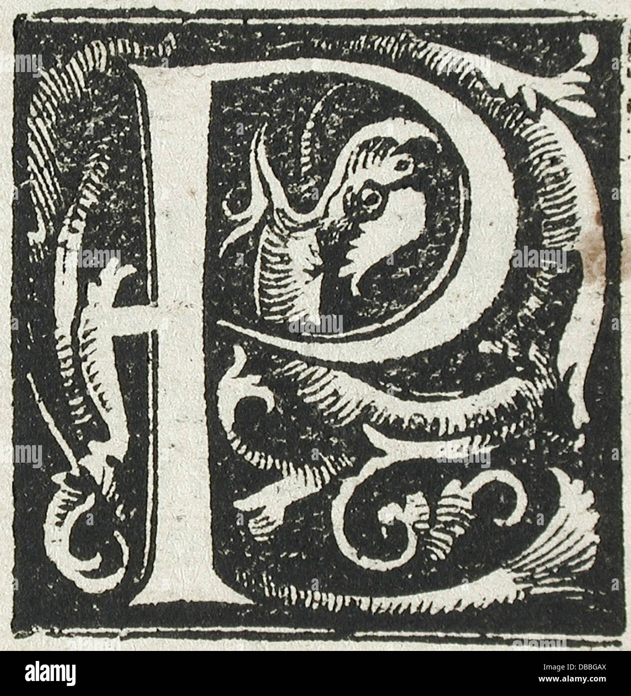 These ornamental letters are intricately designed, each featuring ...