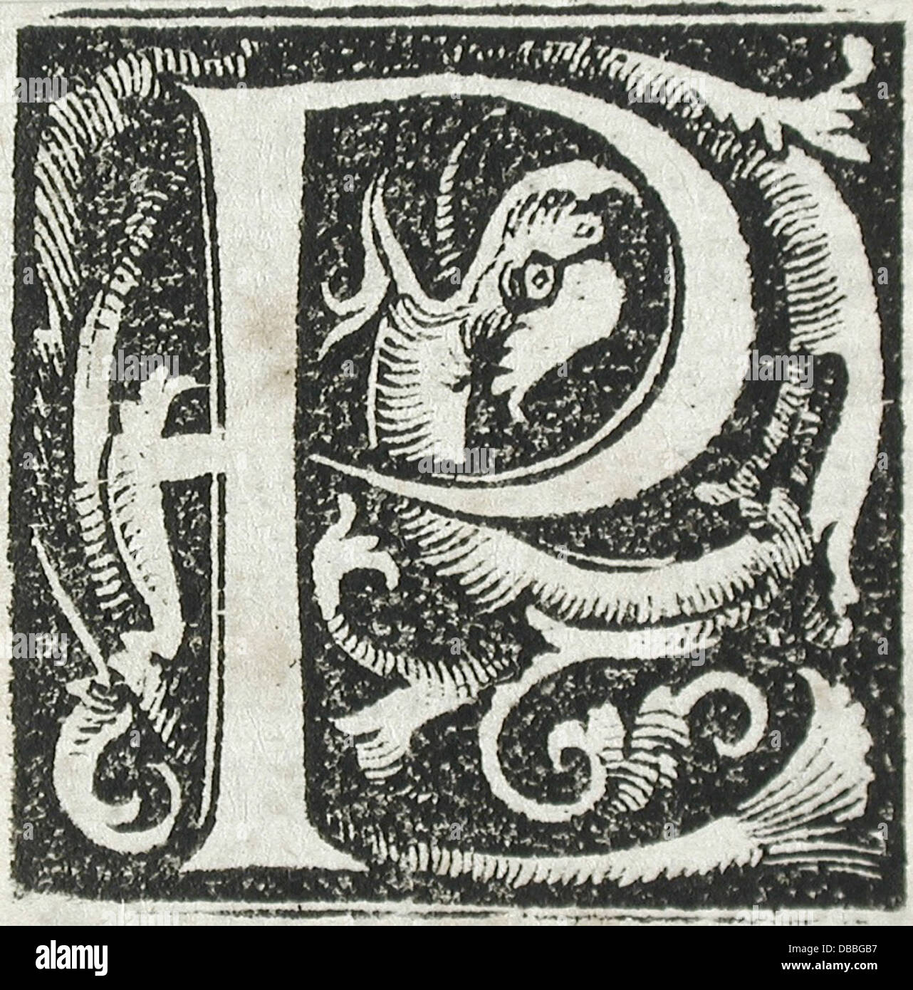 This set of ornamental letters, part of a larger collection, represents ...