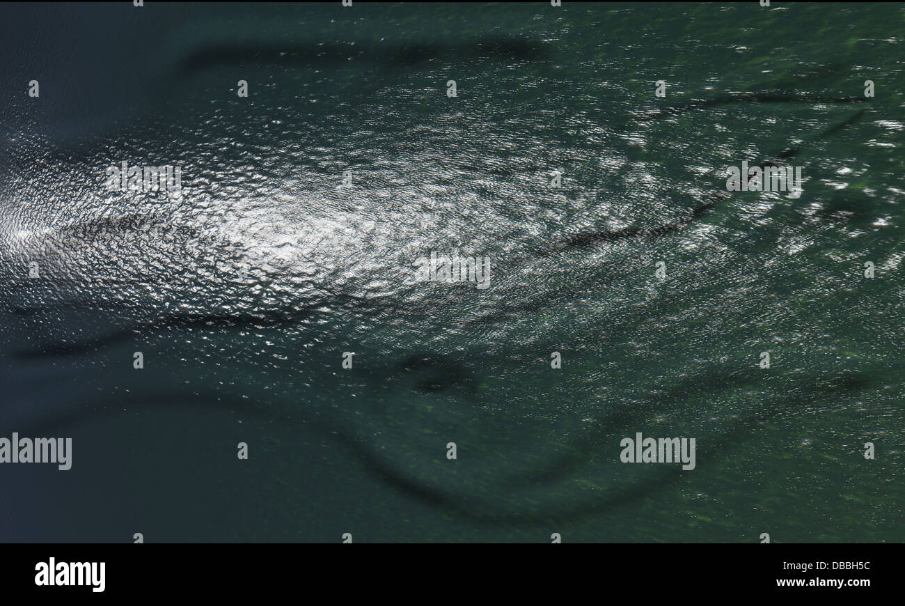 modern abstract color and shape design background wallpaper Stock Photo ...