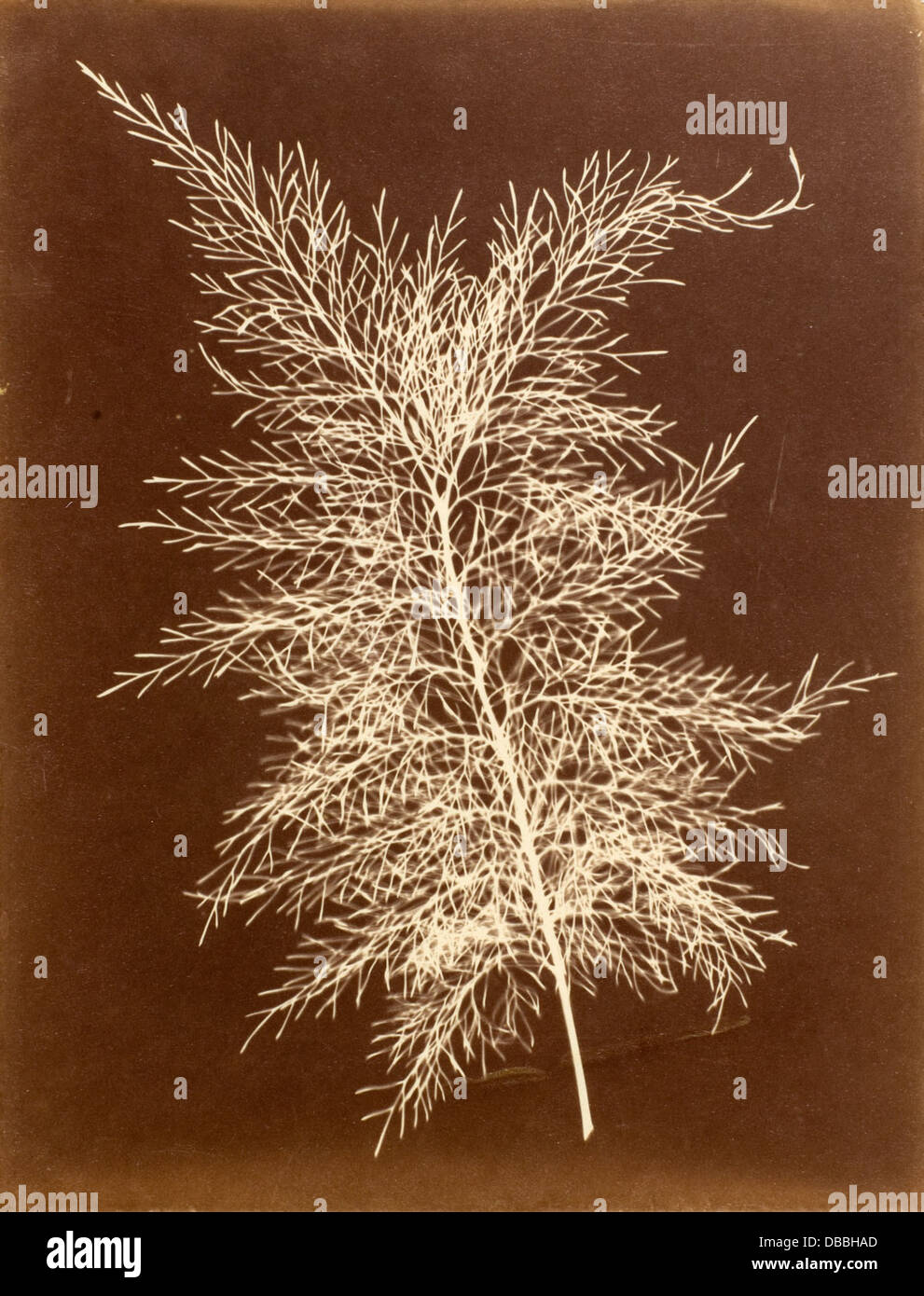 Open ended art hi-res stock photography and images - Alamy