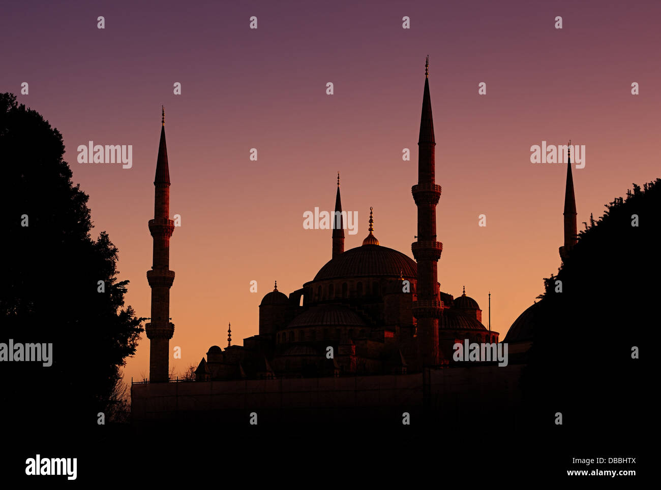 Beautiful silhouette of the Blue Mosque on violet-orange sky background ...