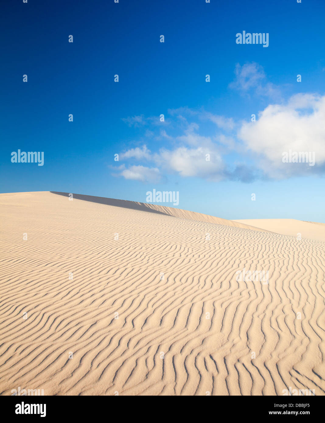 barchan dune, evening light with long shadows Stock Photo - Alamy