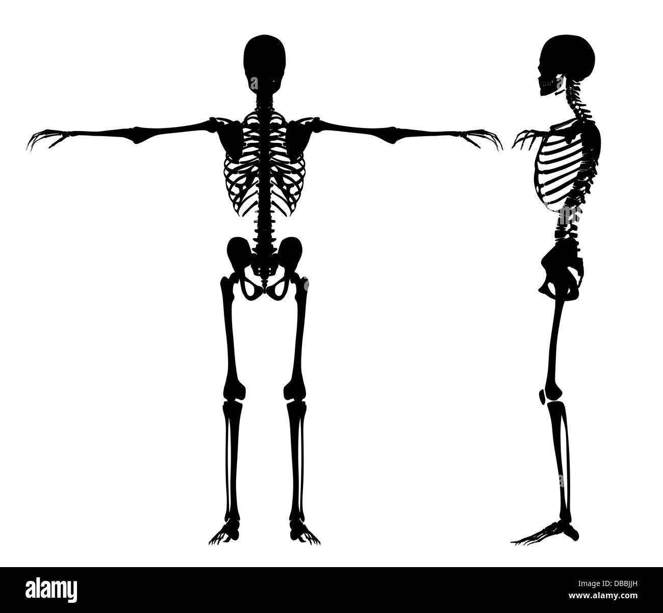 Skeleton arm on black Cut Out Stock Images & Pictures - Alamy