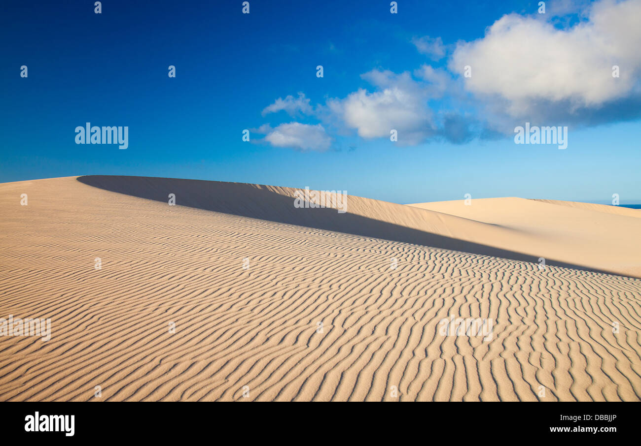 barchan dunes, evening light with long shadows Stock Photo - Alamy