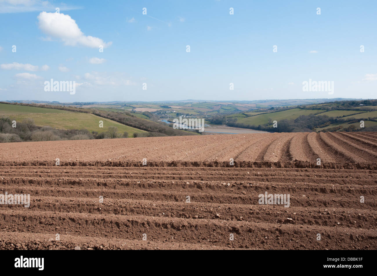 Ridges furrows in field prepared hi-res stock photography and images ...
