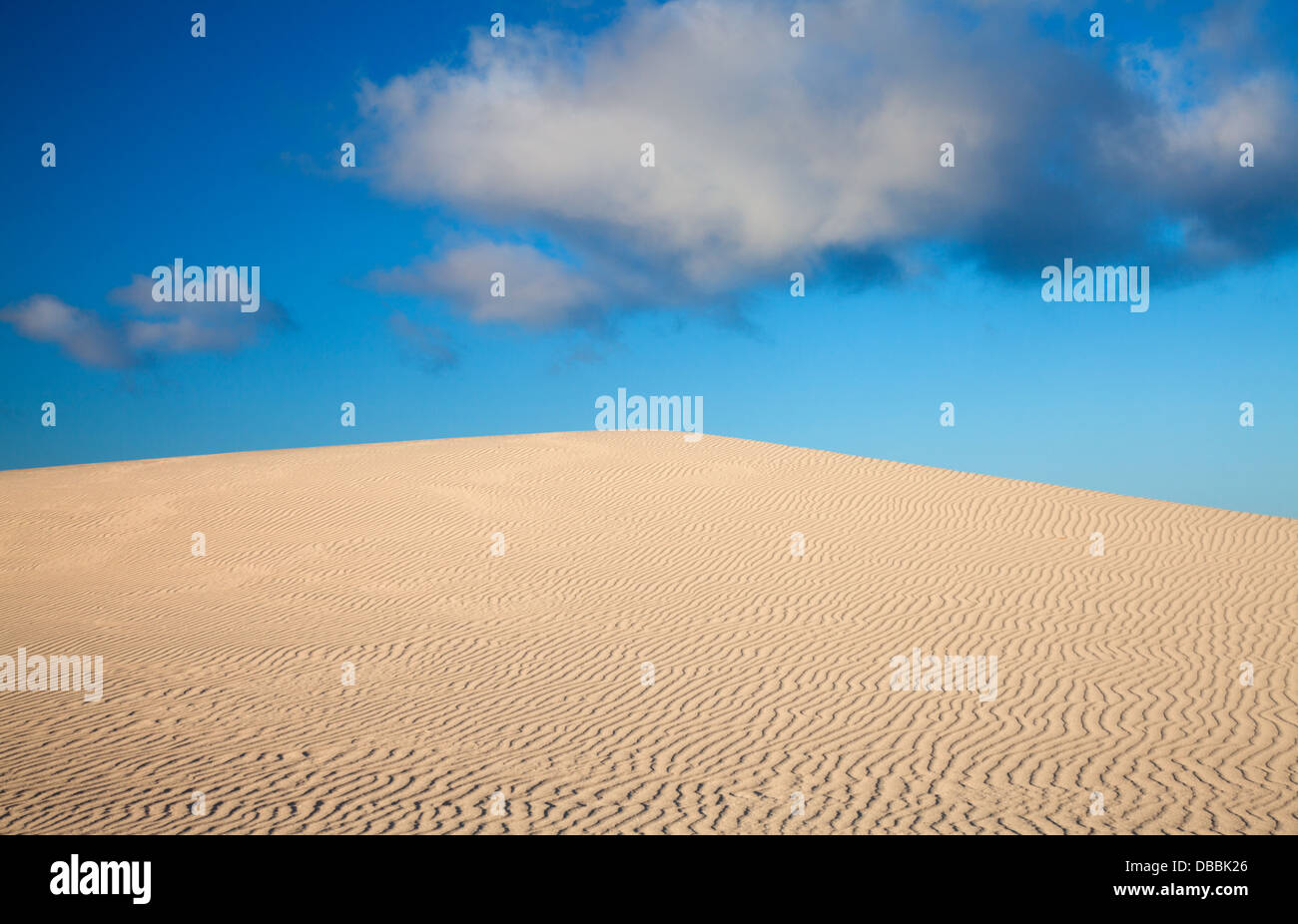 barchan dune, evening light with long shadows Stock Photo - Alamy