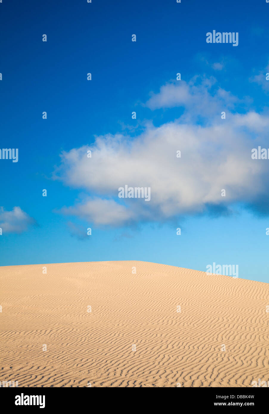 barchan dune, evening light with long shadows Stock Photo - Alamy