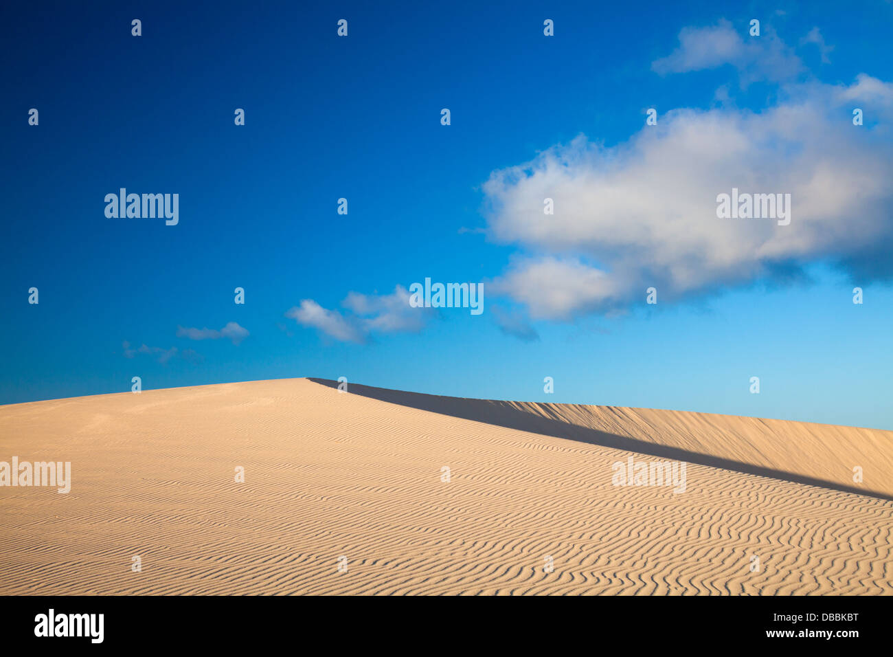barchan dune, evening light with long shadows Stock Photo - Alamy