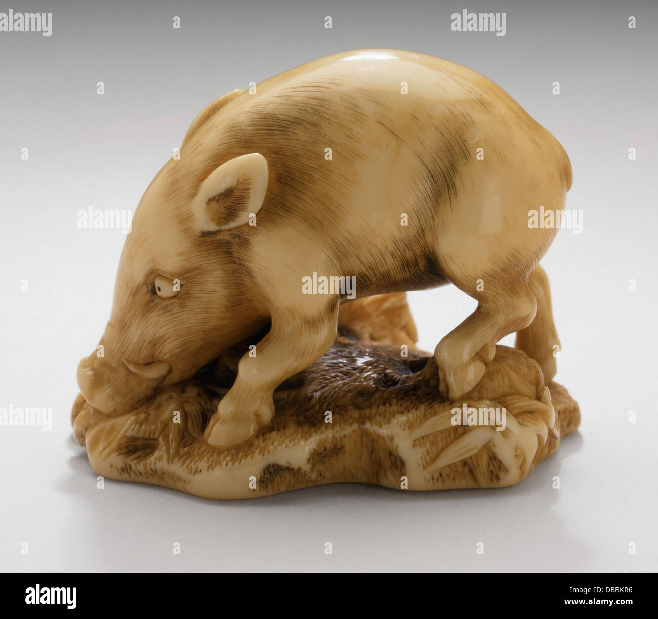 This sculpture captures the dynamic motion of a wild boar rooting. The ...
