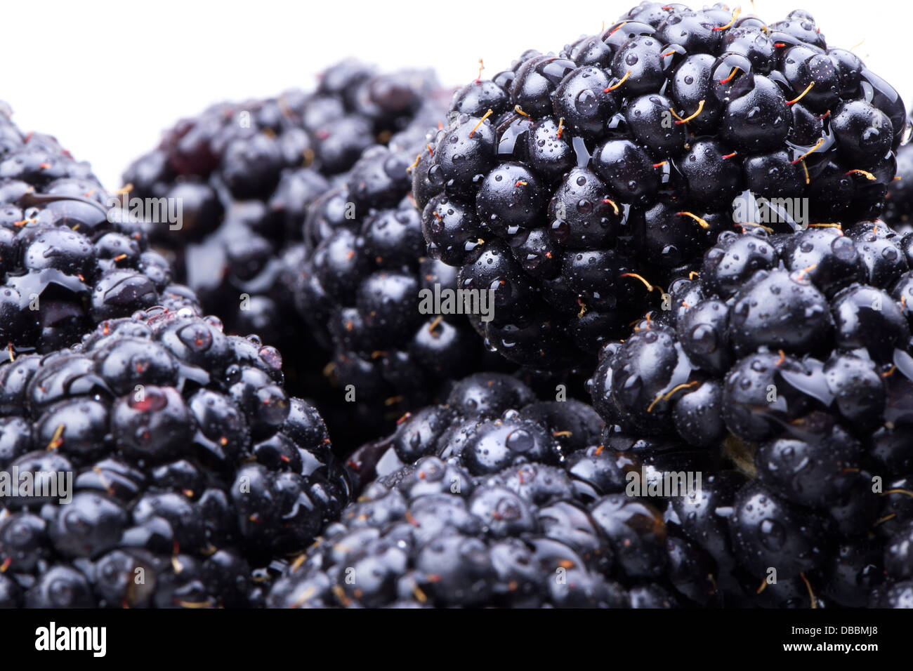 Fresh Ripe Blackberries with water drops macro background Stock Photo ...