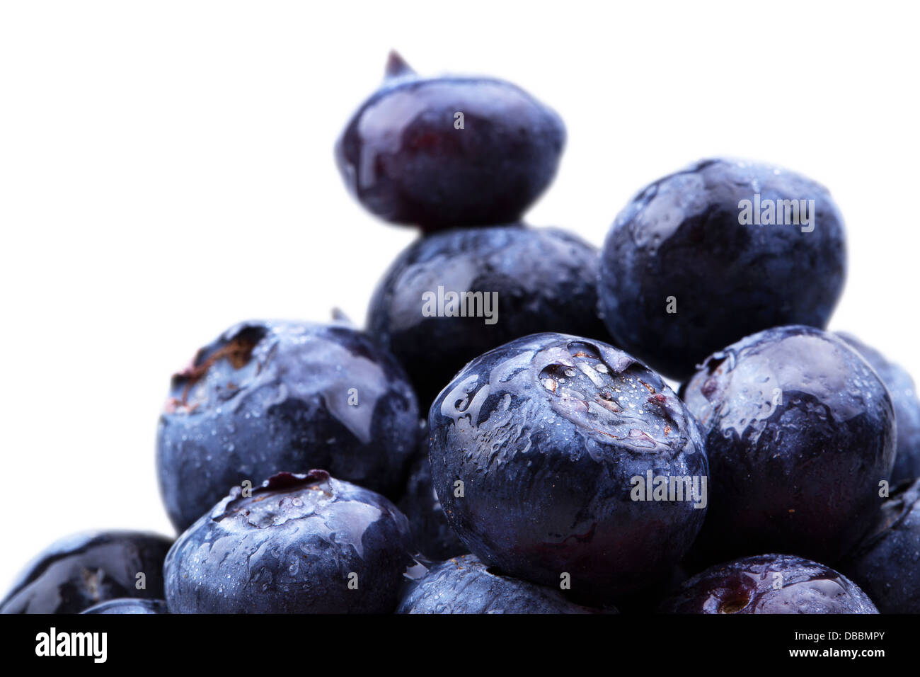 Freshly picked blue berries with water drops Stock Photo - Alamy