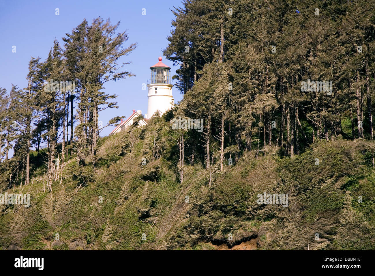 Heceta Head Lighthouse, Oregon, USA Stock Photo - Alamy