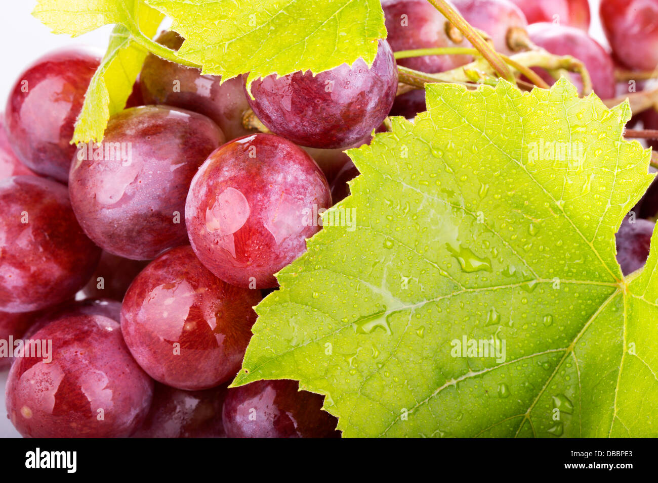 Pink grape isolated on white bacground Stock Photo - Alamy