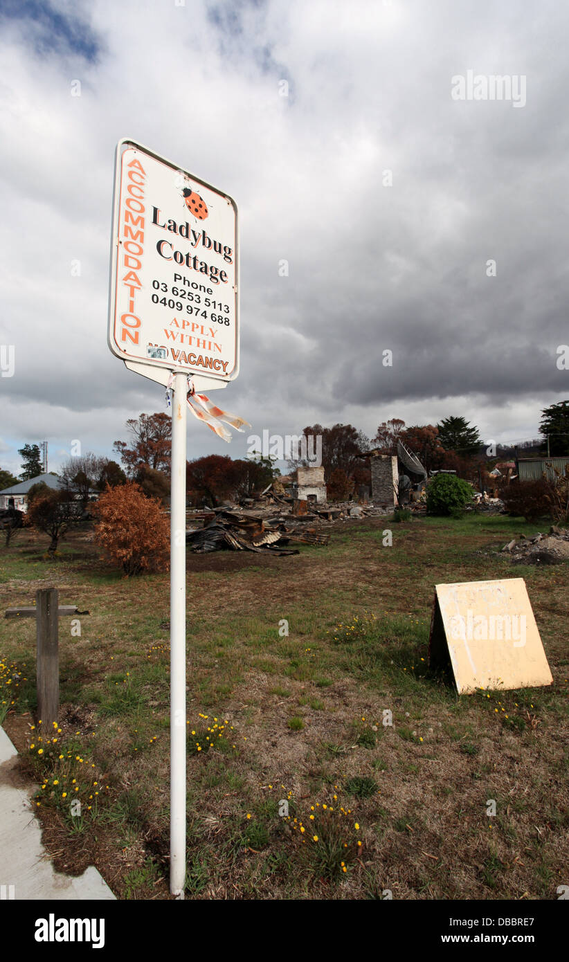 Bushfire damage at Dunally in Tasmania Stock Photo - Alamy
