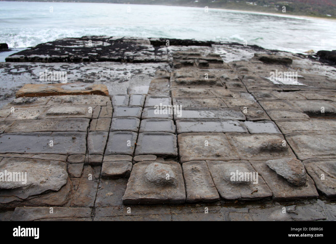 Tessellated Pavement at Eaglehawk Neck in Tasmania Stock Photo - Alamy