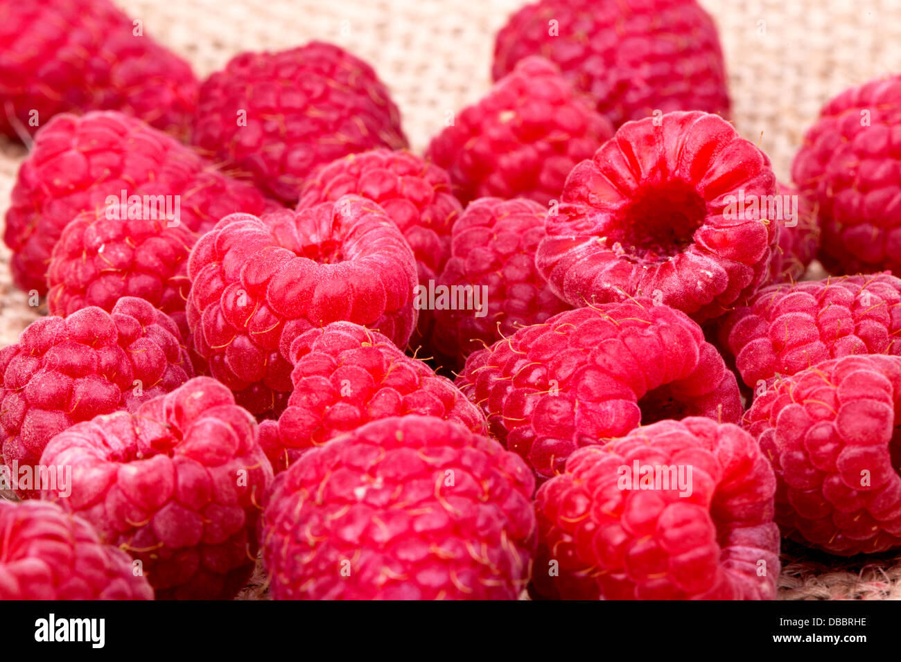 A beautiful selection of freshly picked ripe red raspberries Stock ...