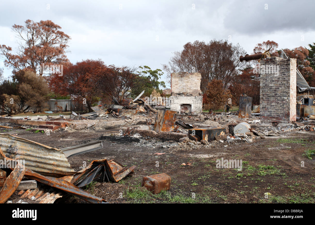 Bushfire damage at Dunally in Tasmania Stock Photo - Alamy