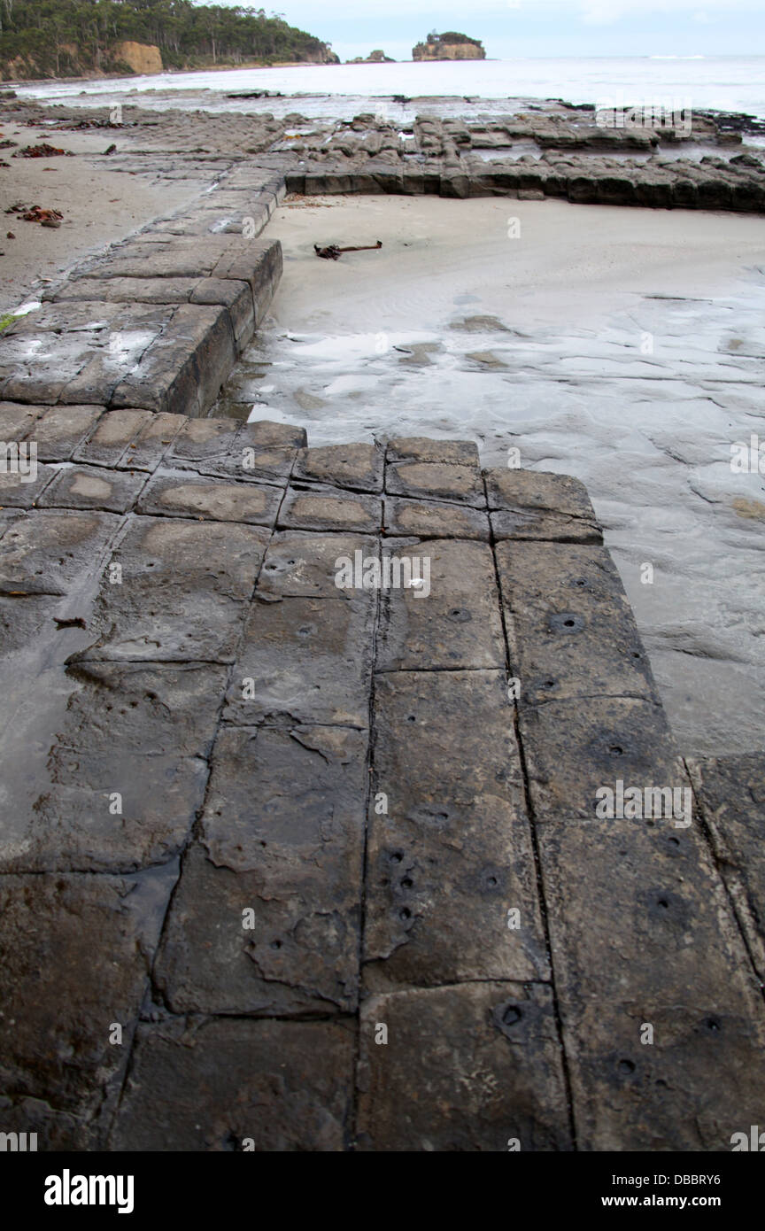 Tessellated Pavement at Eaglehawk Neck in Tasmania Stock Photo - Alamy