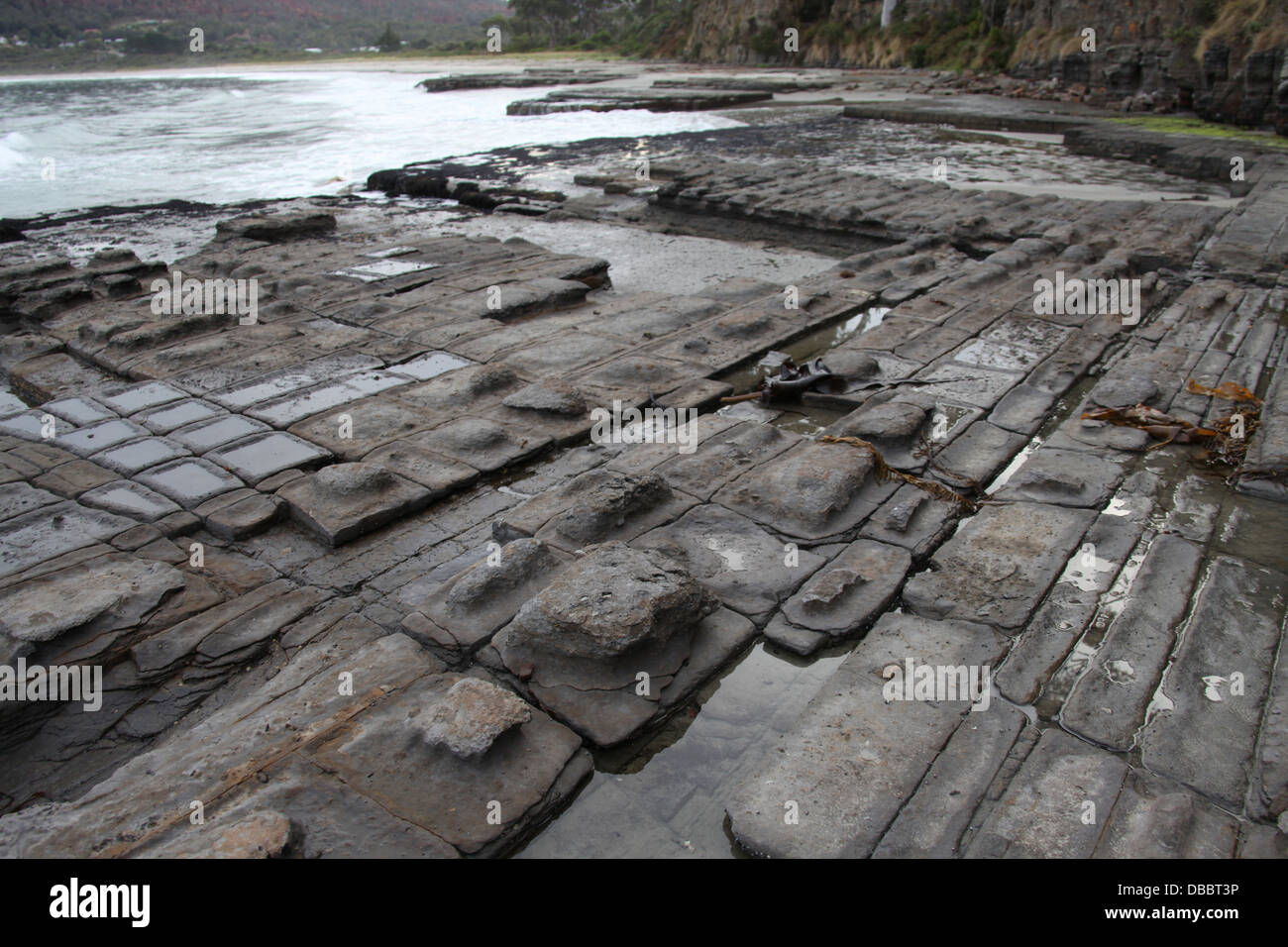 Tessellated Pavement at Eaglehawk Neck in Tasmania Stock Photo - Alamy