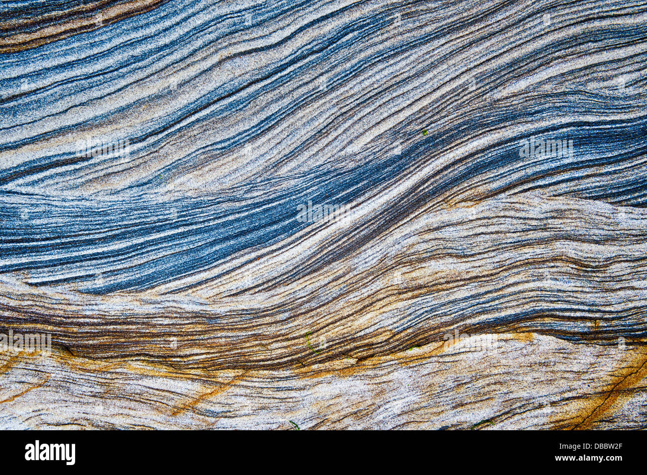 Sandstone rock strata pattern. Northumberland Coastline, England Stock ...