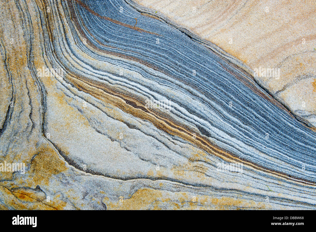 Sandstone rock strata pattern. Northumberland Coastline, England Stock ...