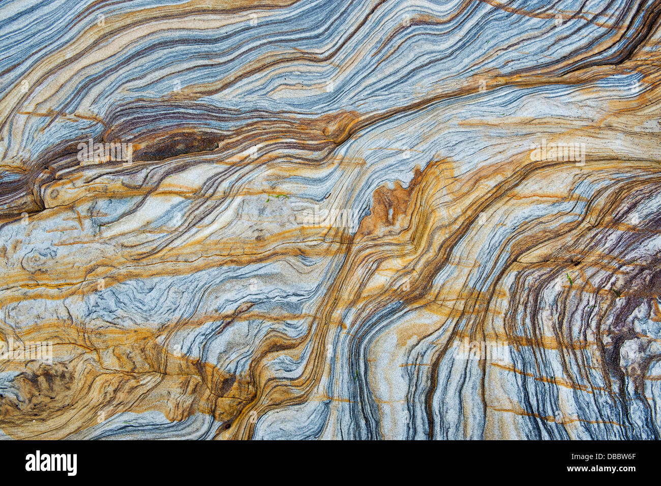Sandstone rock strata pattern. Northumberland Coastline, England Stock ...