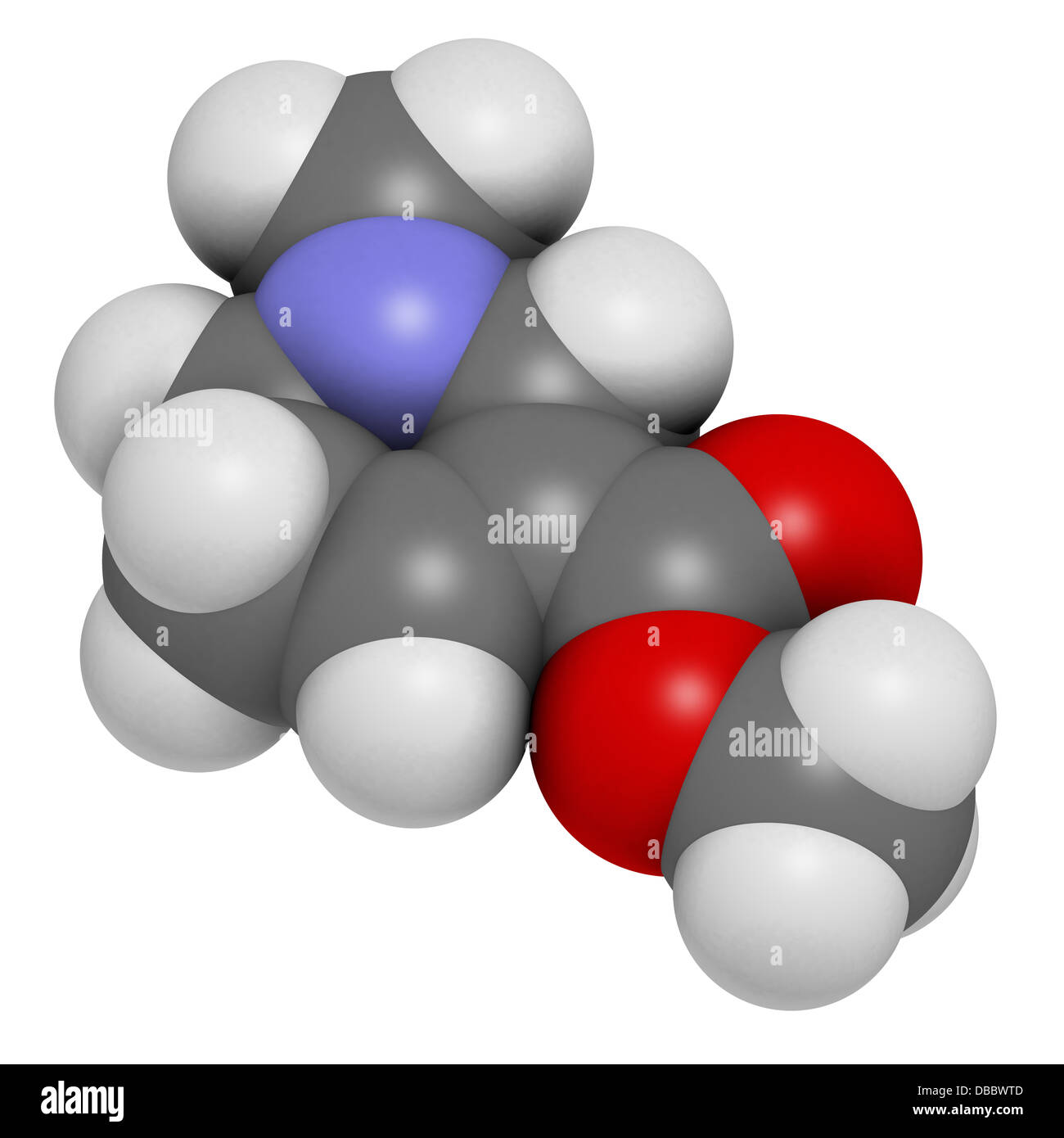 Arecoline areca nut stimulant compound, chemical structure. Atoms are ...