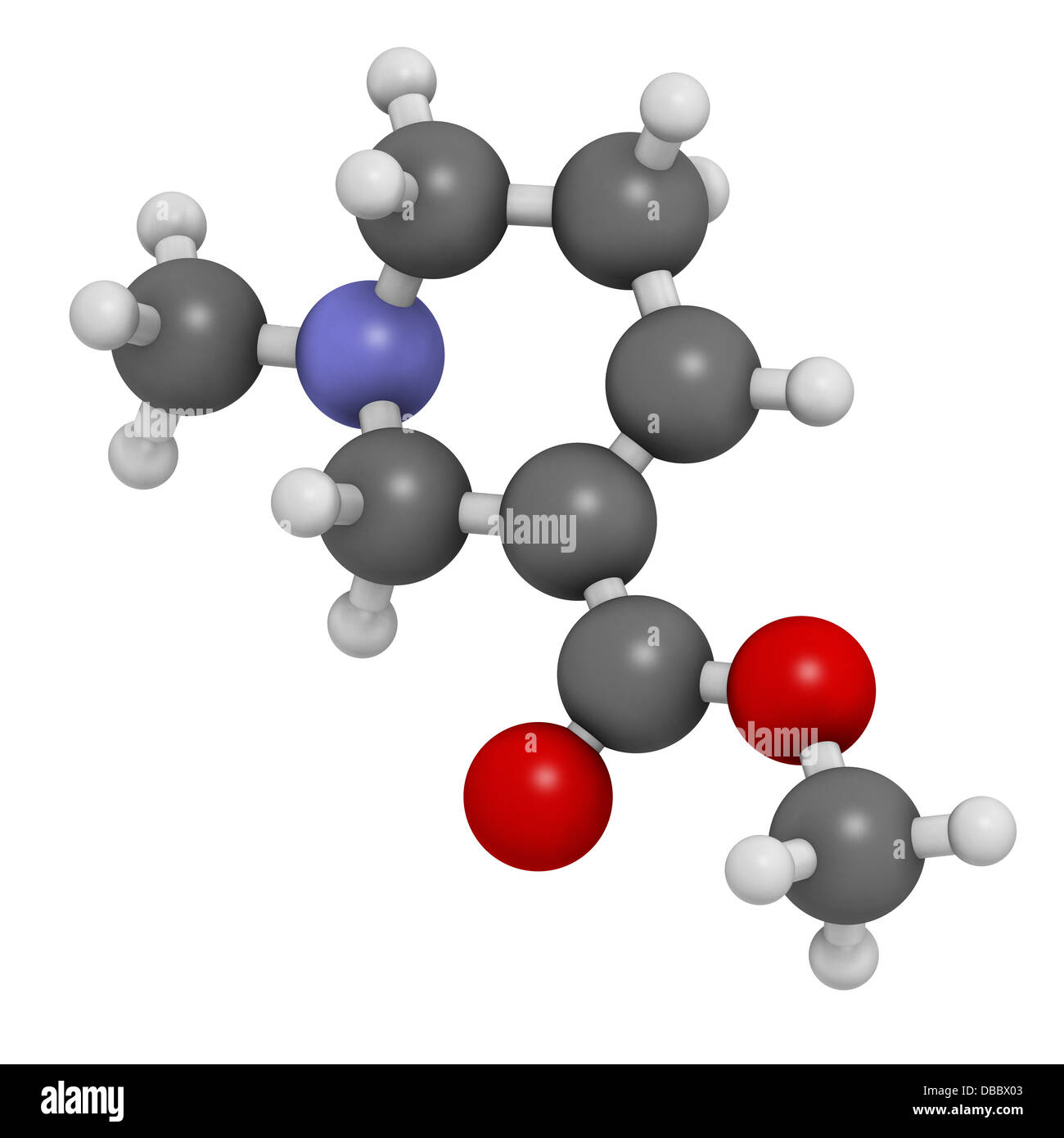 Arecoline areca nut stimulant compound, chemical structure. Atoms are ...