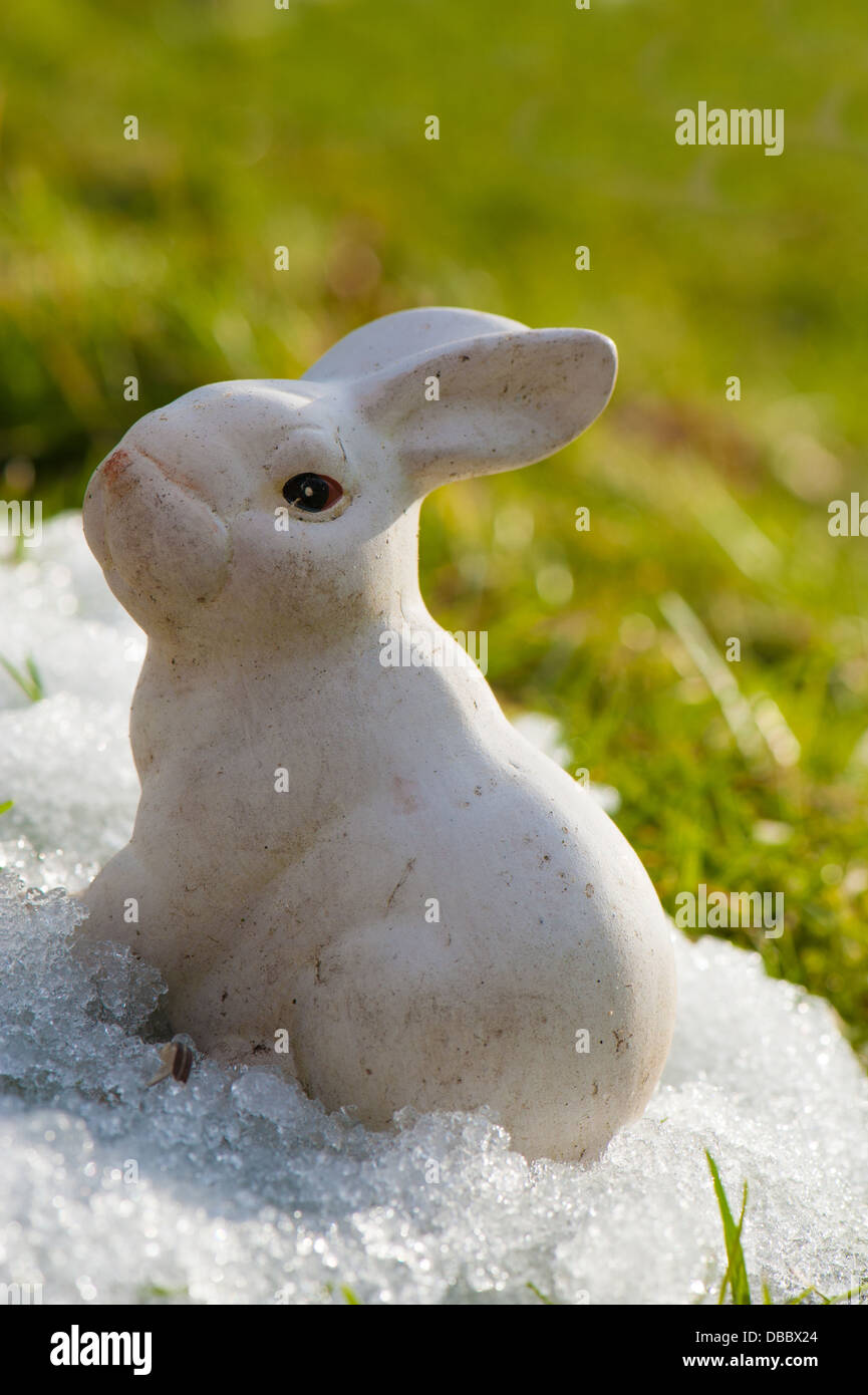 Easter bunny in the snow Stock Photo - Alamy