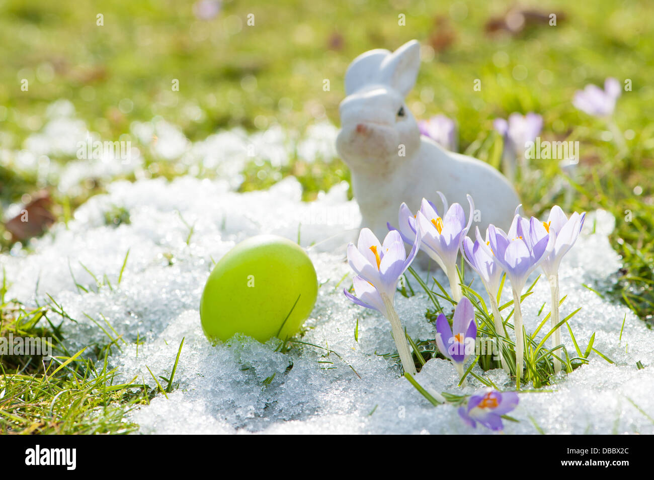 Frozen bunny hi-res stock photography and images - Alamy