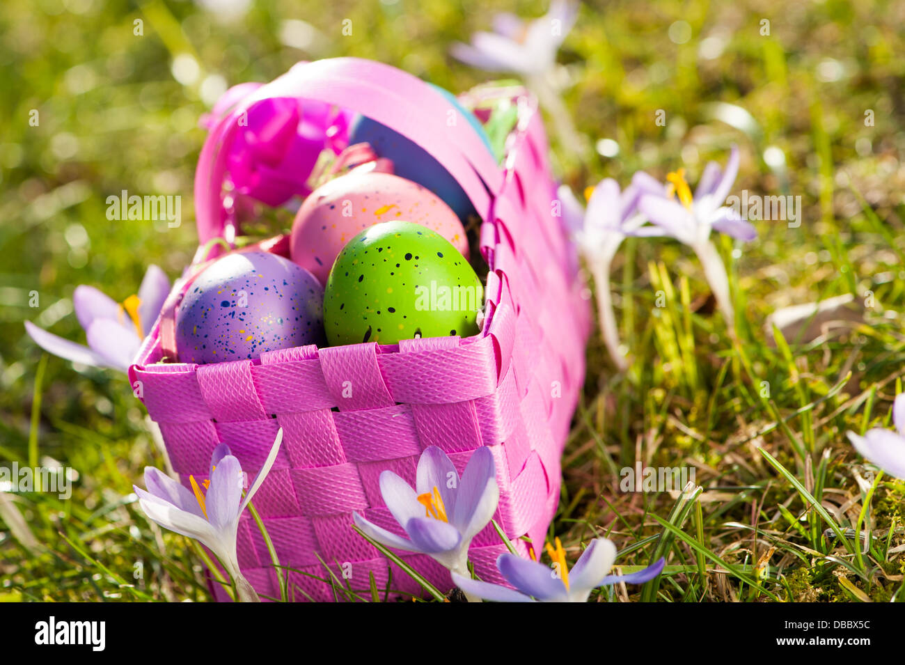 Easter basket in a spring meadow Stock Photo - Alamy