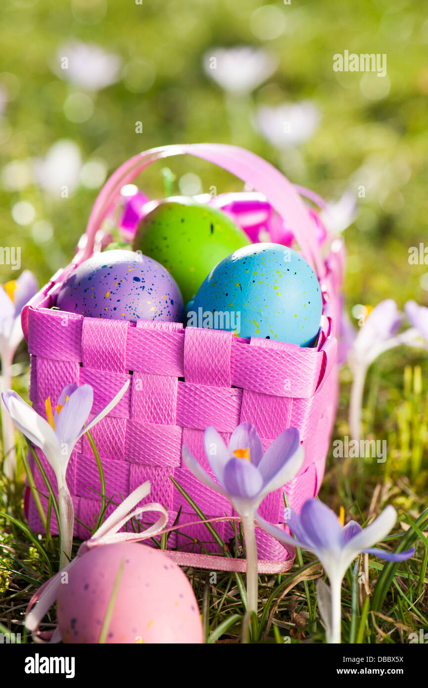 Easter basket in a spring meadow Stock Photo - Alamy