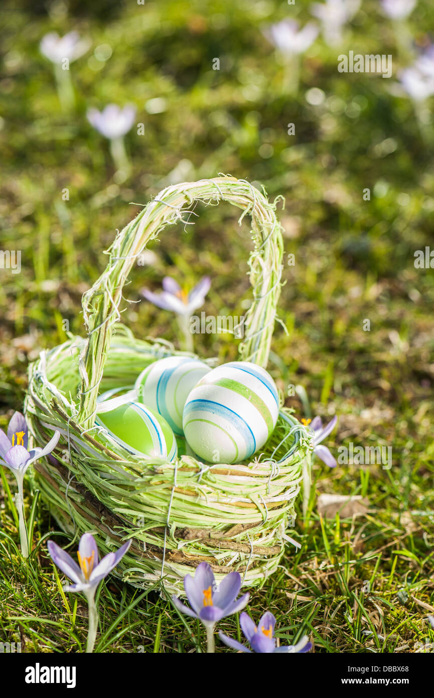 Easter basket in a spring meadow Stock Photo - Alamy