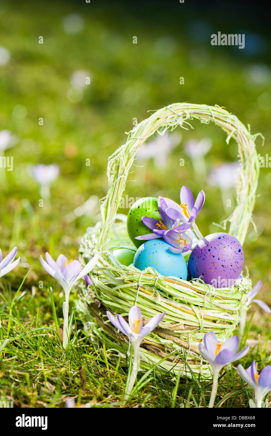 Easter basket in a spring meadow Stock Photo - Alamy