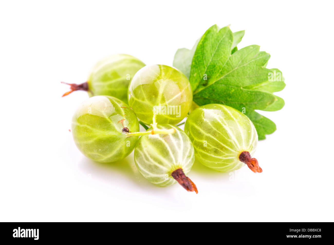 Gooseberries with leaves isolated on white background Stock Photo - Alamy