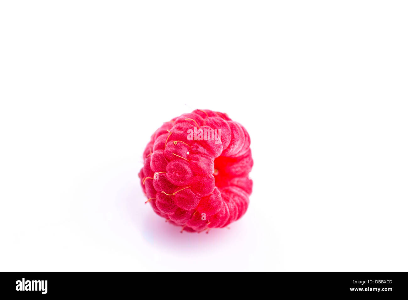 Ripe raspberry isolated on a white background Stock Photo - Alamy