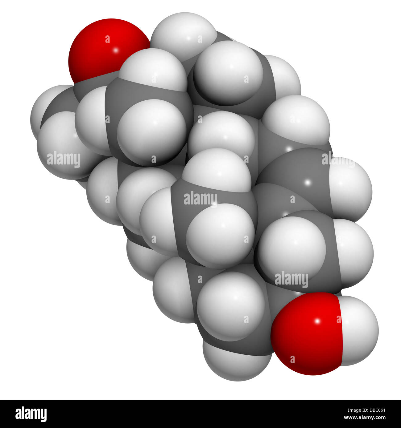 Pregnenolone neurosteroid and prohormone molecule, chemical structure ...