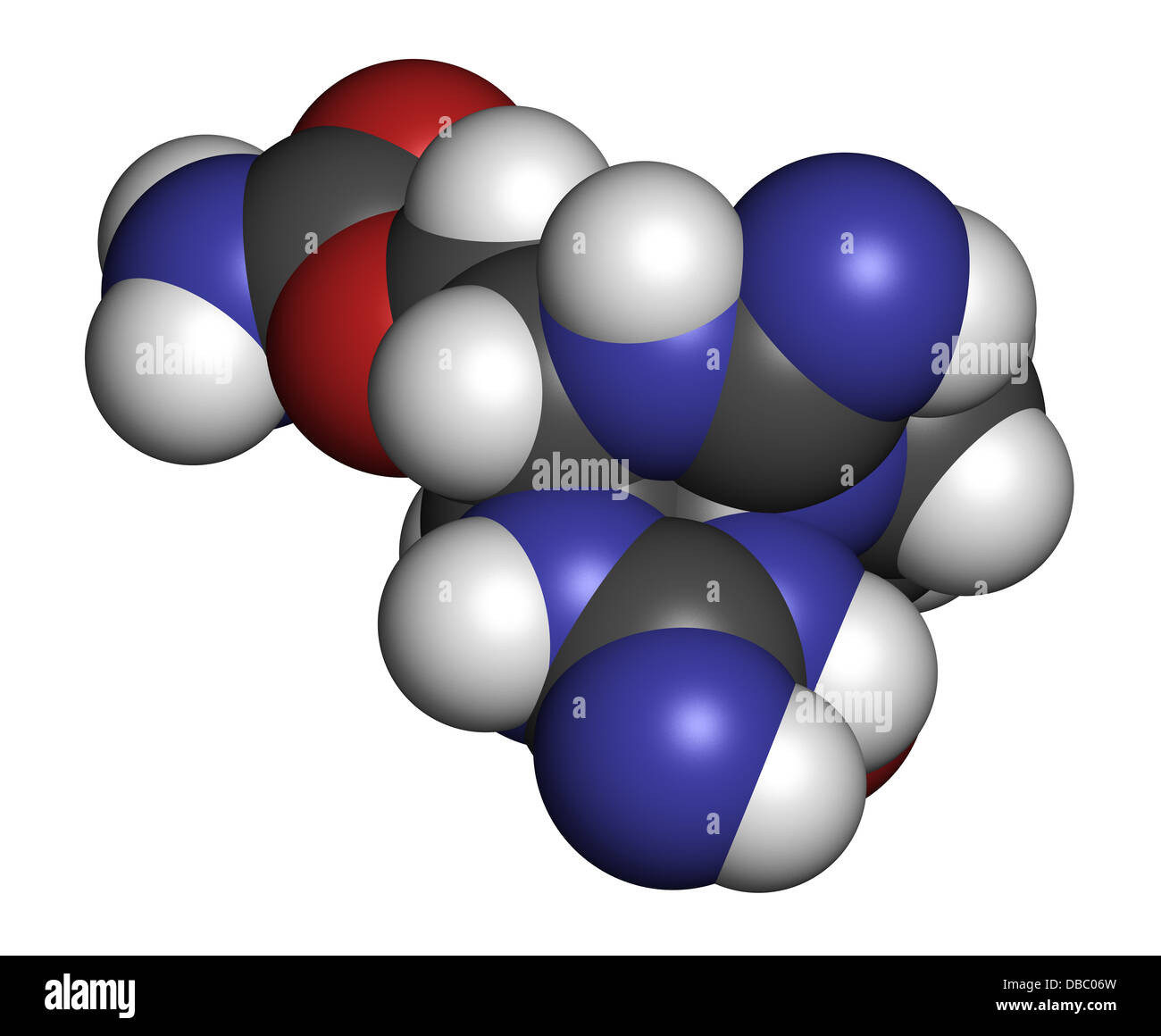 Paralytic shellfish toxin hi-res stock photography and images - Alamy