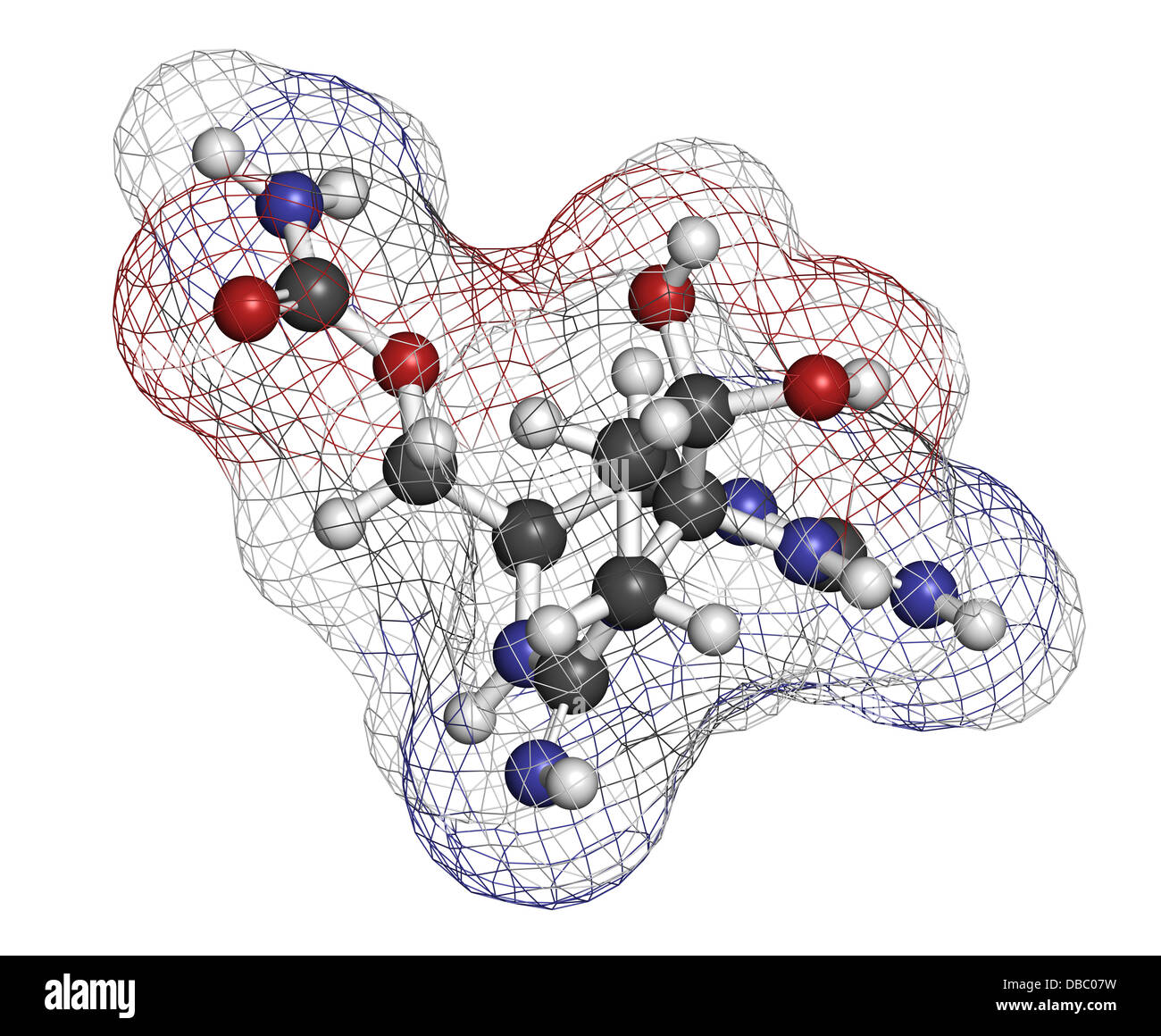 Saxitoxin (STX) paralytic shellﬁsh toxin (PST), chemical structure ...