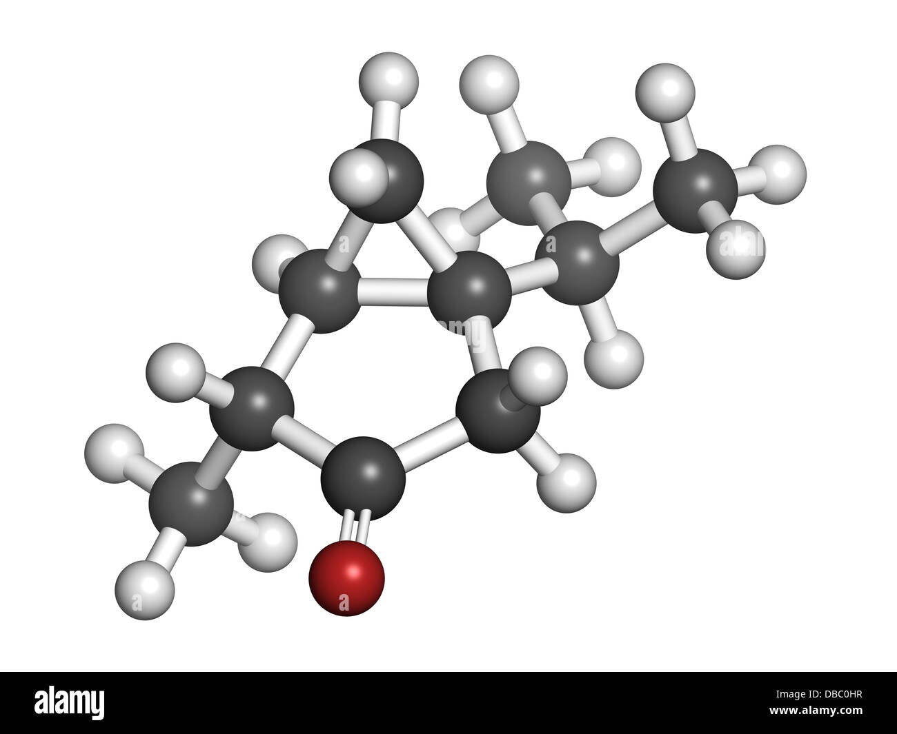 Thujone (alfa) absinthe molecule, chemical structure. Atoms are ...