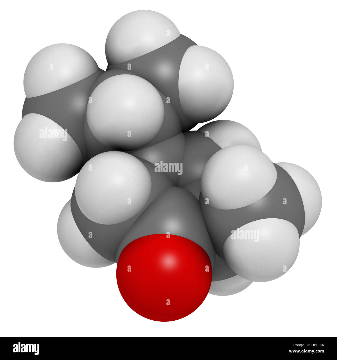 Thujone (alfa) absinthe molecule, chemical structure. Atoms are ...