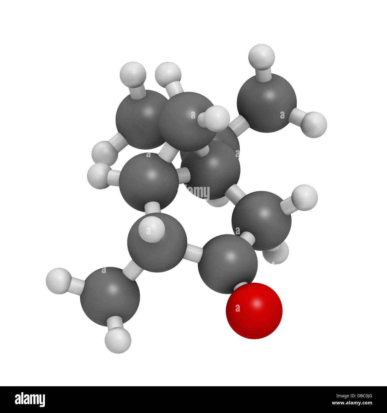 Thujone (alfa) absinthe molecule, chemical structure. Atoms are ...