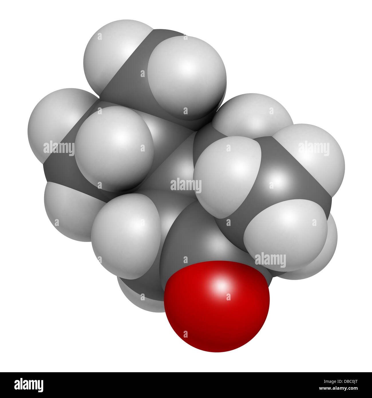 Thujone (alfa) absinthe molecule, chemical structure. Atoms are ...