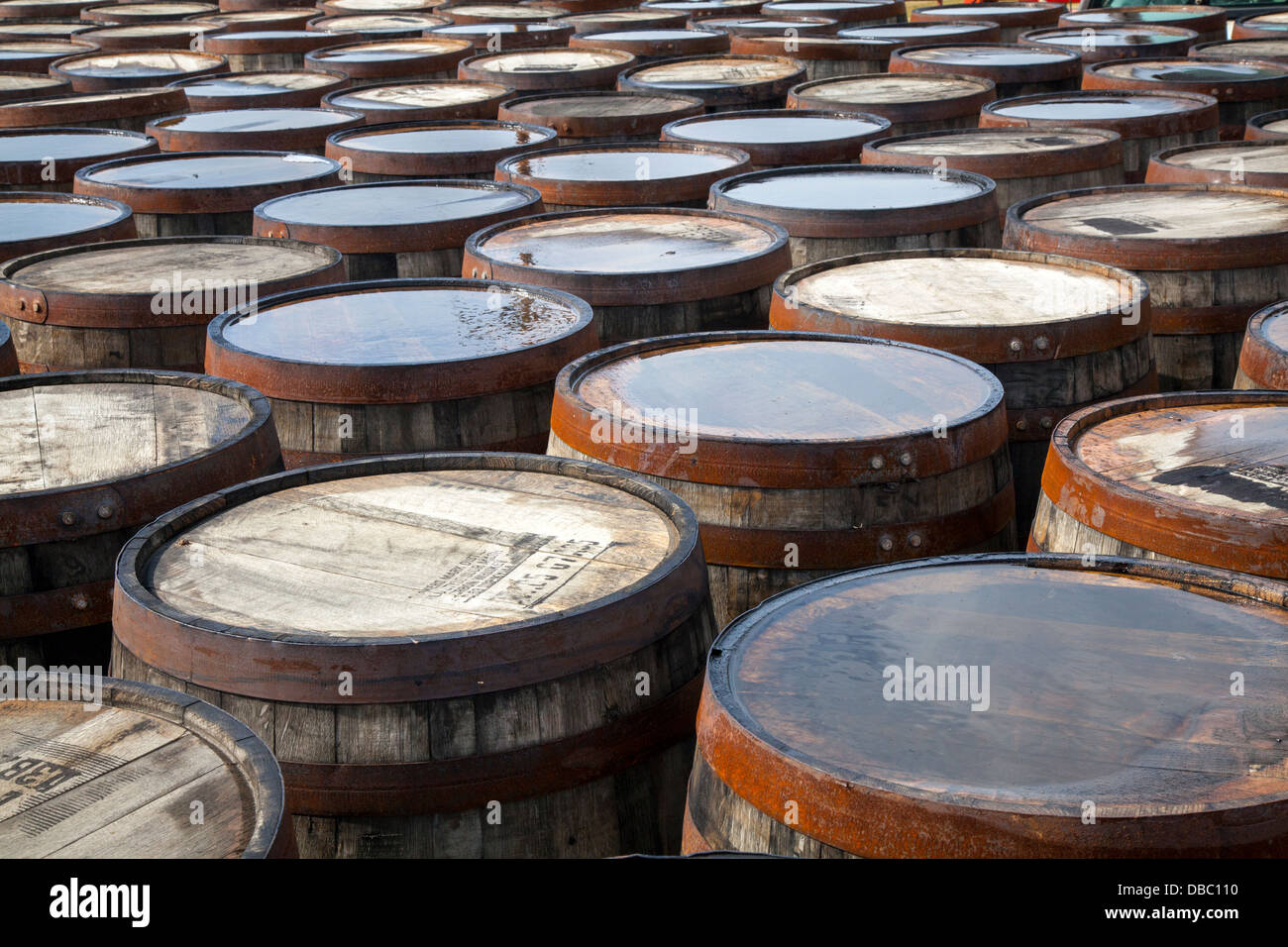 Stacks of Whisky barrels at Glenglassaugh malt scotch whisky distillery ...