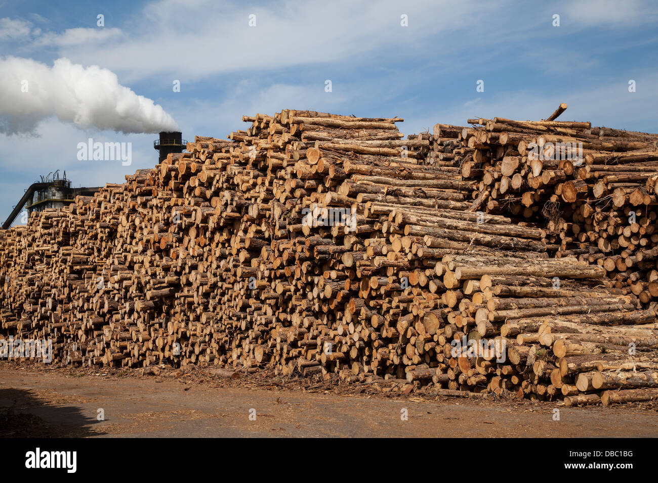 Scottish sawmill High Resolution Stock Photography and Images - Alamy