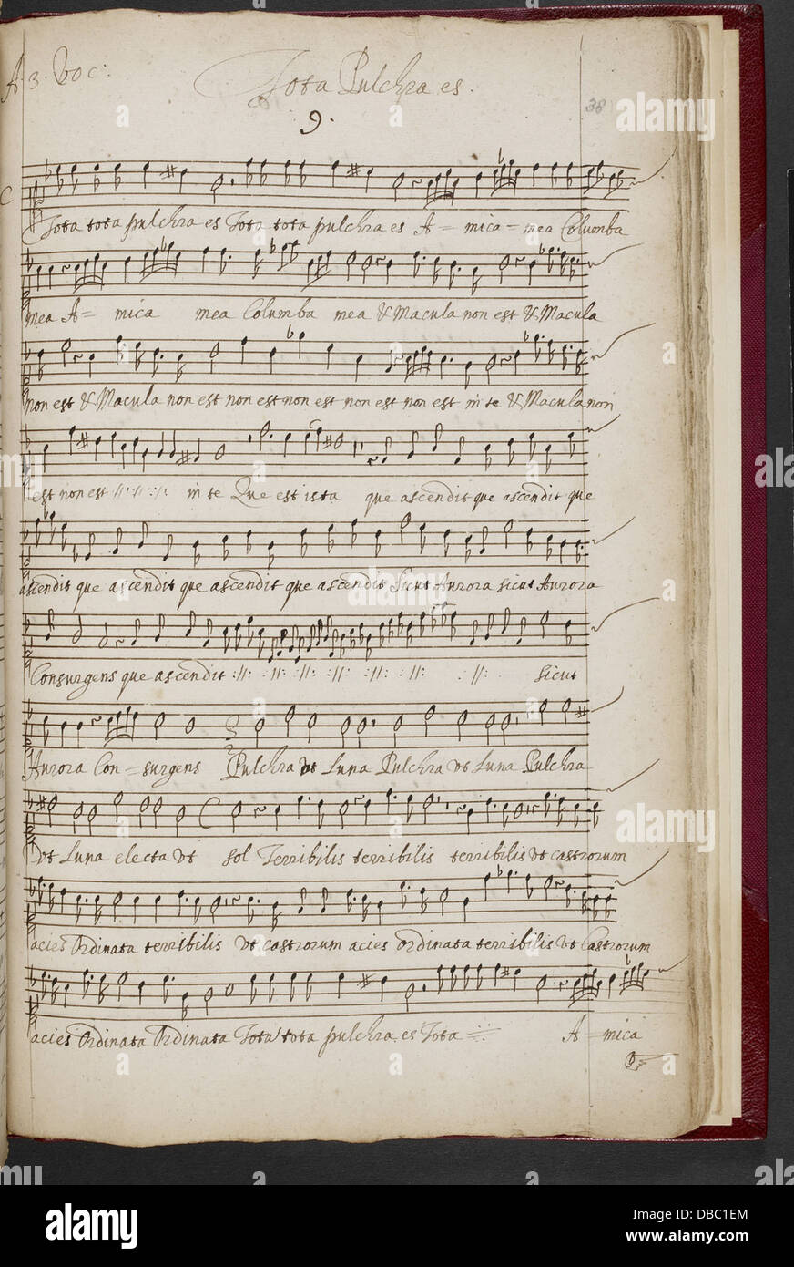 Tota pulchra es hi-res stock photography and images - Alamy