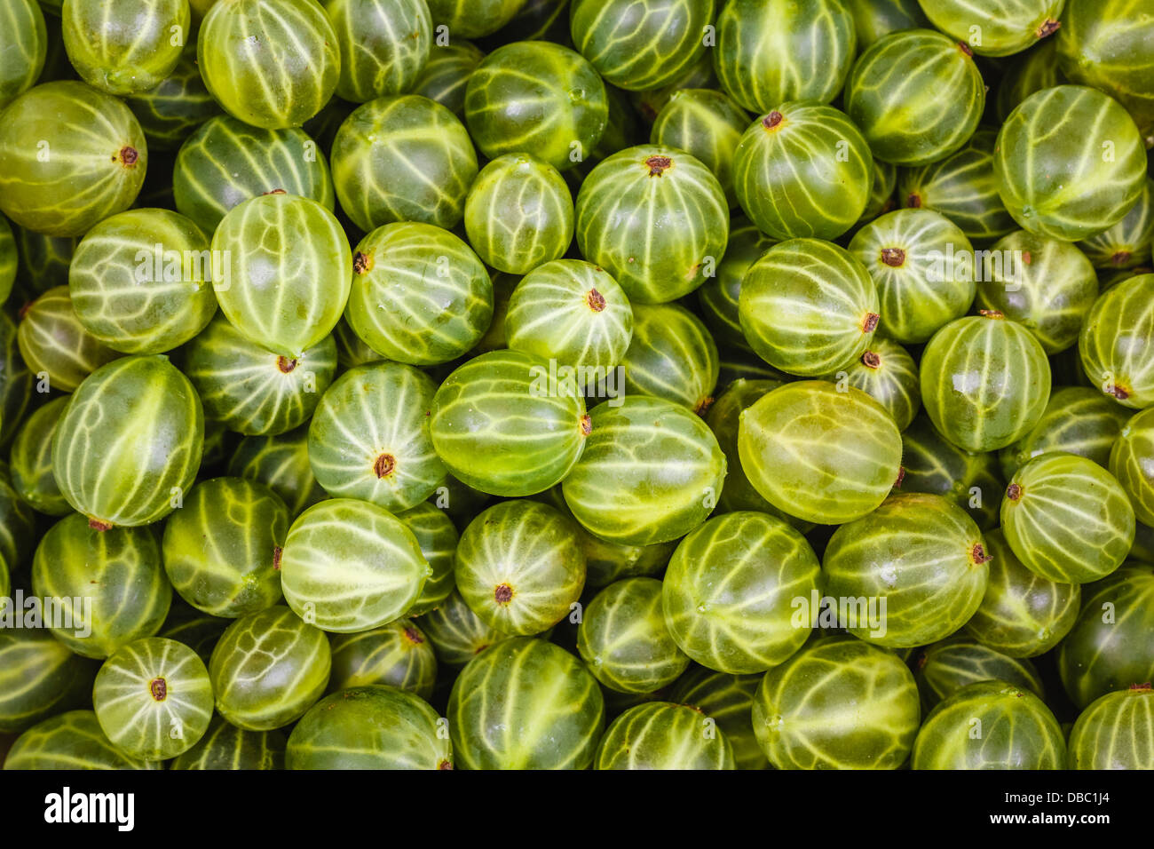 Sweet fresh gooseberries closeup background Stock Photo - Alamy